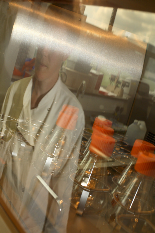 New Minister meets Dstl staff at Porton Down